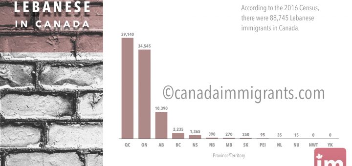 Afghans in Canada | Statistics | The Canadian Magazine of Immigration