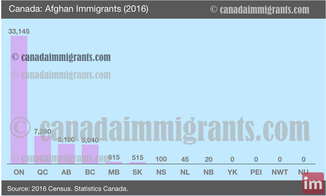 Afghans in Canada | Statistics | The Canadian Magazine of Immigration