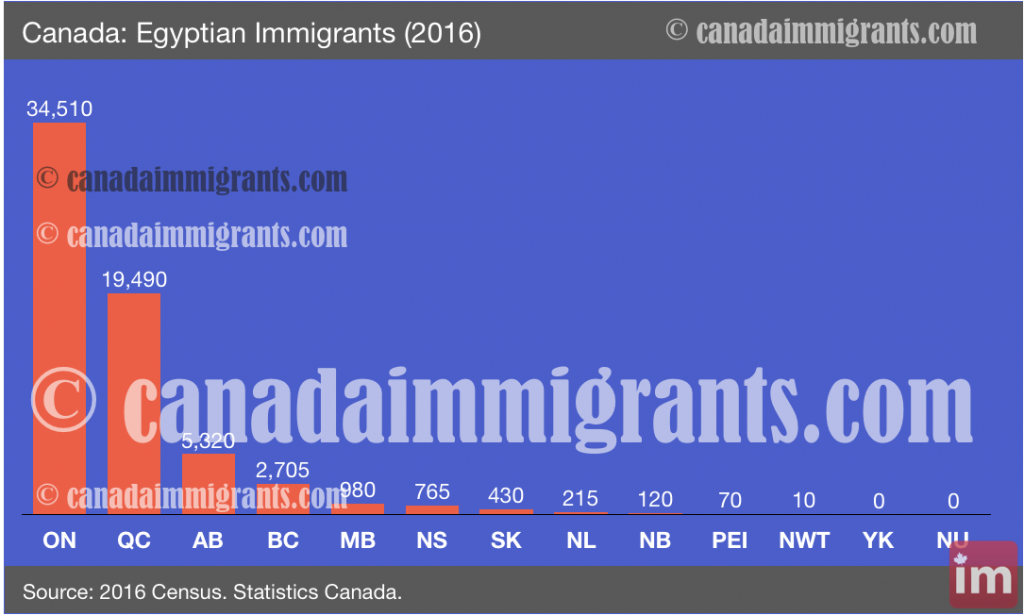 Egyptians in Canada | Statistics | The Canadian Magazine of Immigration